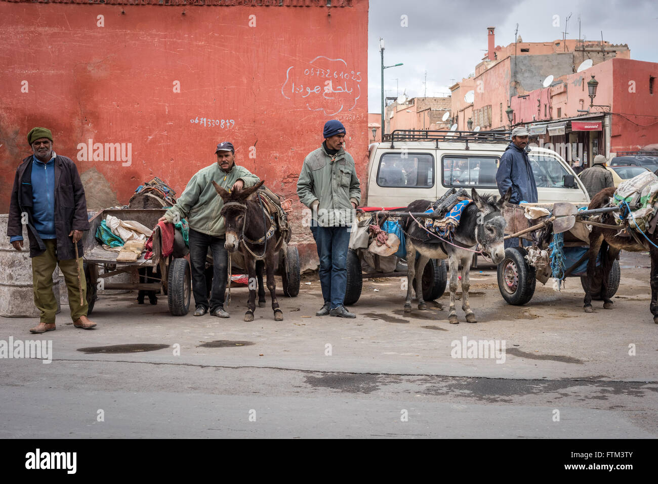 Donkeys for hire as beasts of burden, with their owners on a busy ...