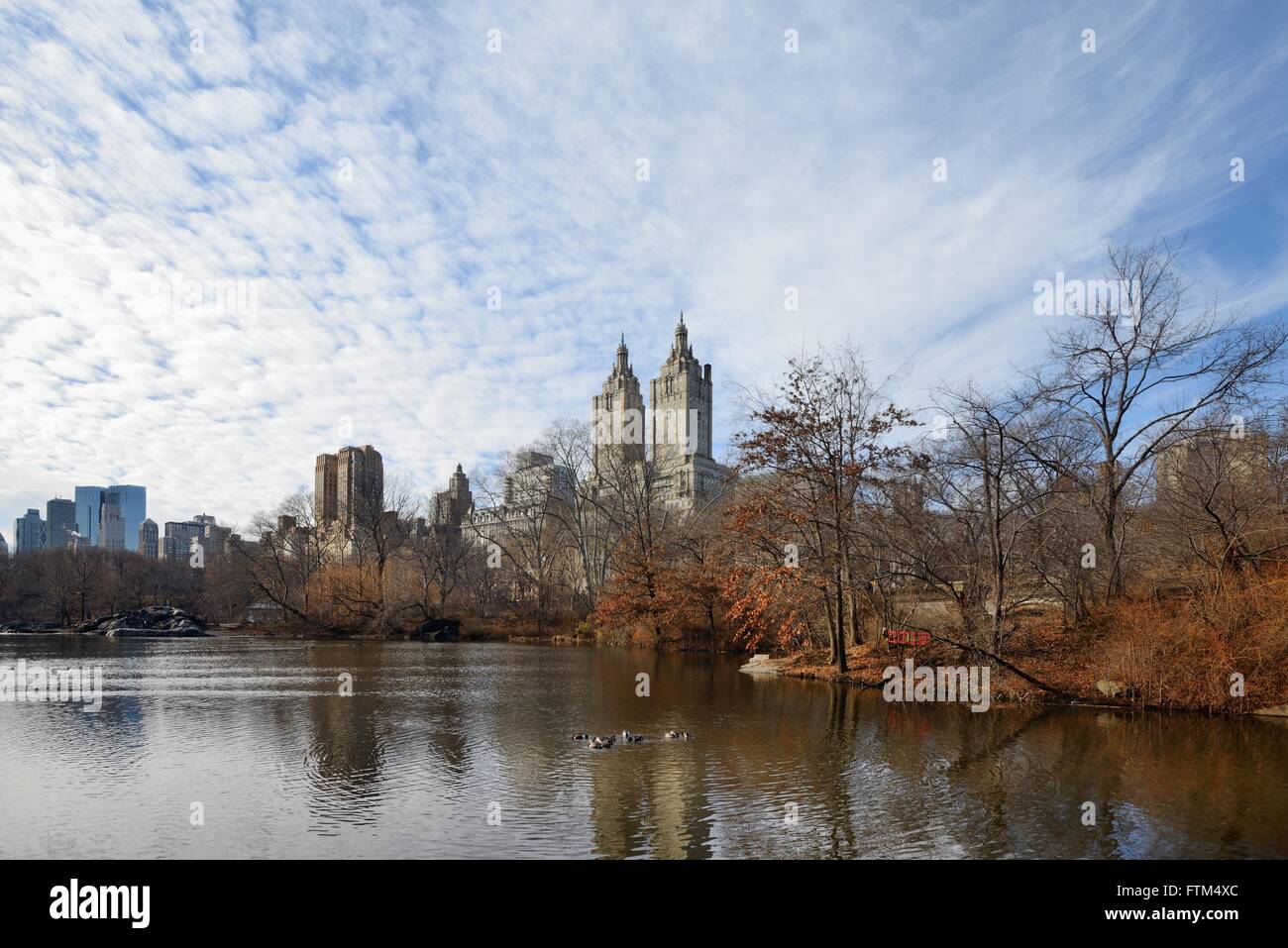 Trees in Central Park, New York city, with Eldorado building on ...
