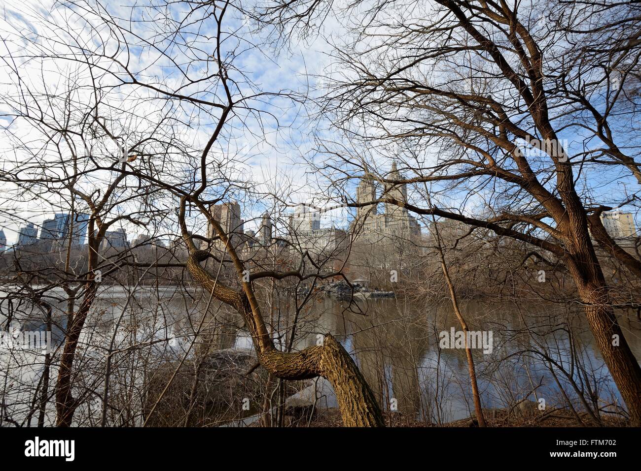 Trees in Central Park, New York city, with Eldorado building on ...