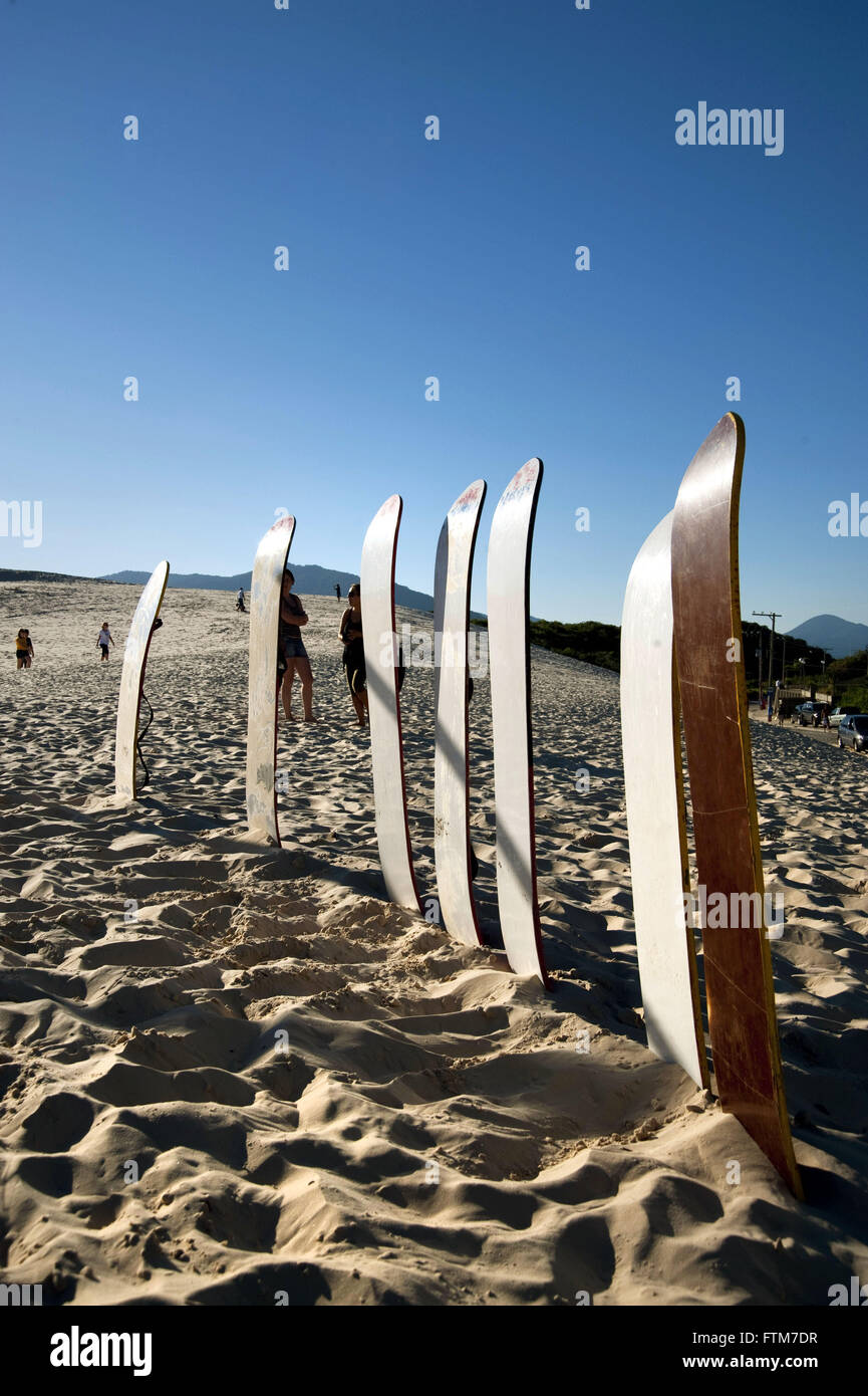 Planks of sandboarding on sand dunes of Joaquina Beach Stock Photo - Alamy