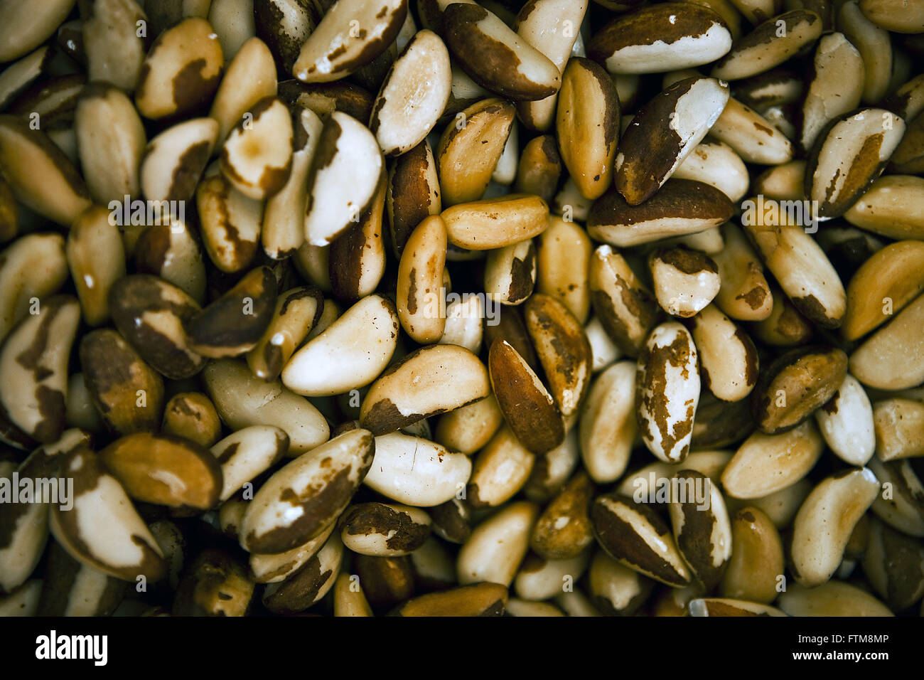 Brazil nut tree hi-res stock photography and images - Alamy