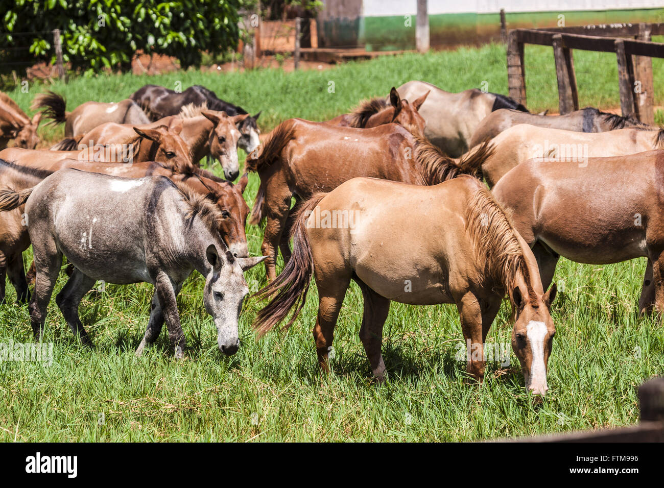 Rual hi-res stock photography and images - Alamy
