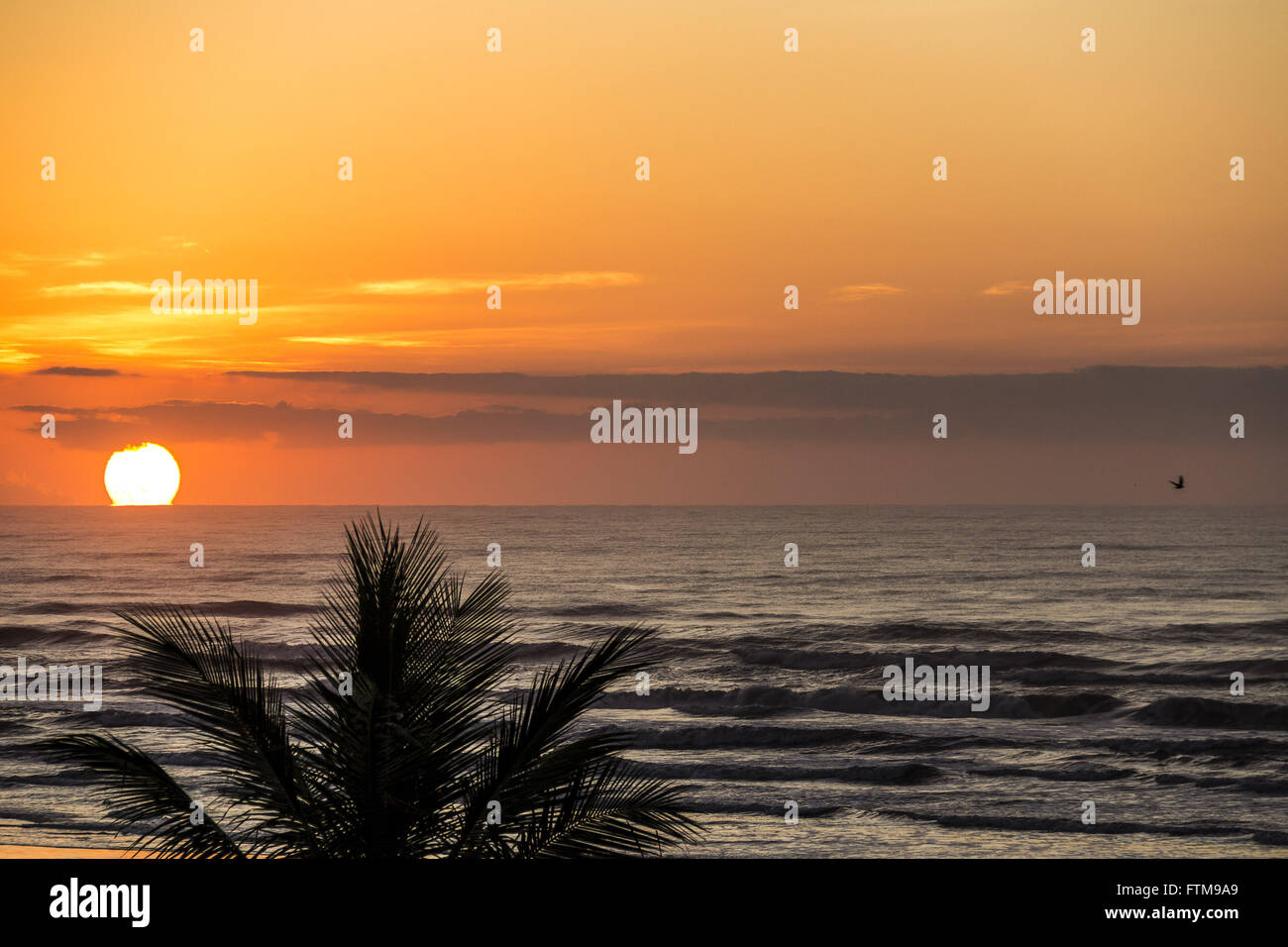 Dawn Beach on the Bay on this coast Stock Photo - Alamy