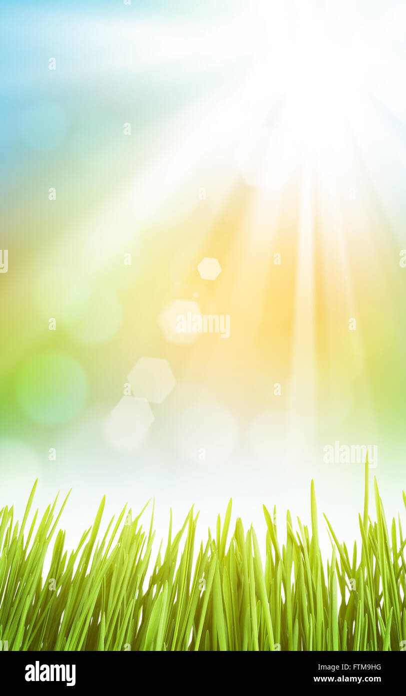Abstract sunny spring background with grass and sky Stock Photo - Alamy