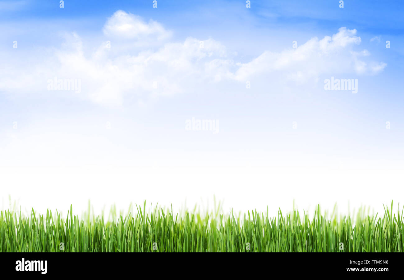 Abstract sunny spring background with grass and sky with clouds Stock ...