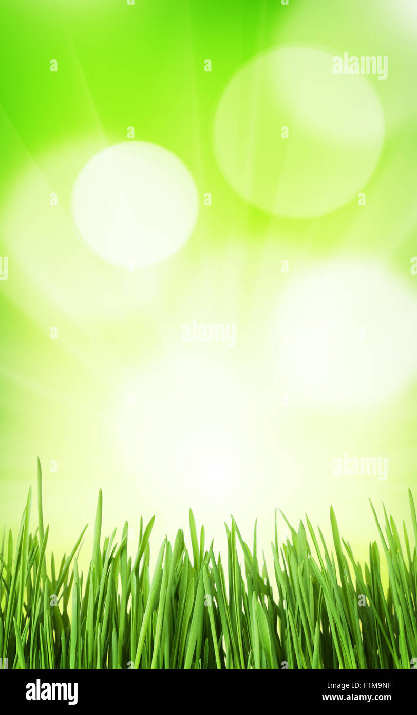 Abstract sunny spring background with grass and bokeh Stock Photo - Alamy