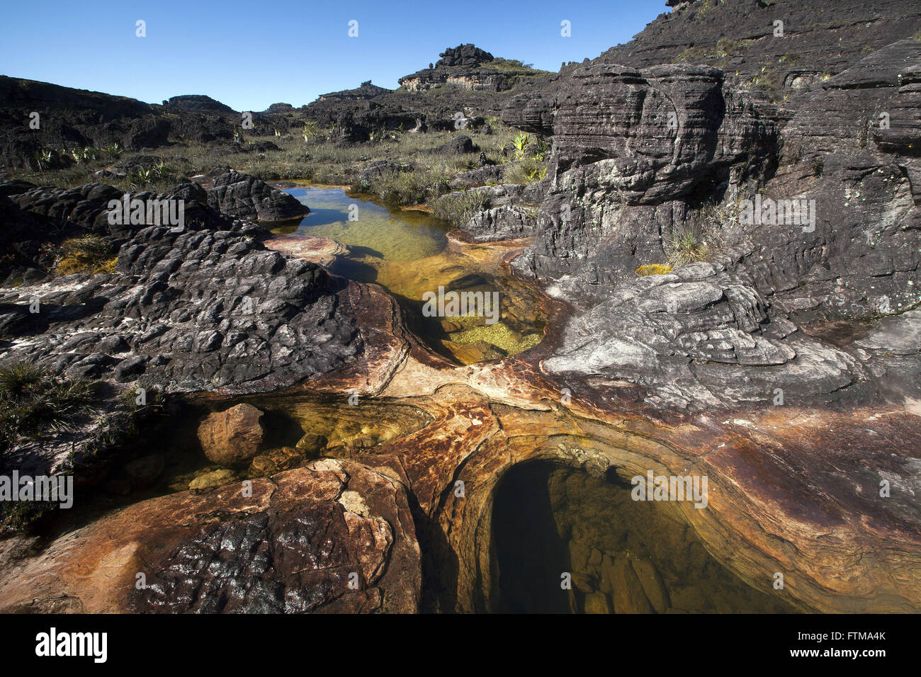 Mount Roraima Pools