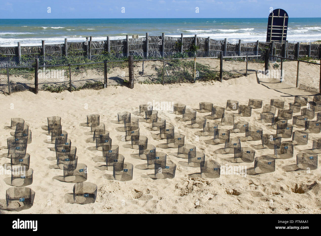 Protected sea turtle nest hi-res stock photography and images - Alamy