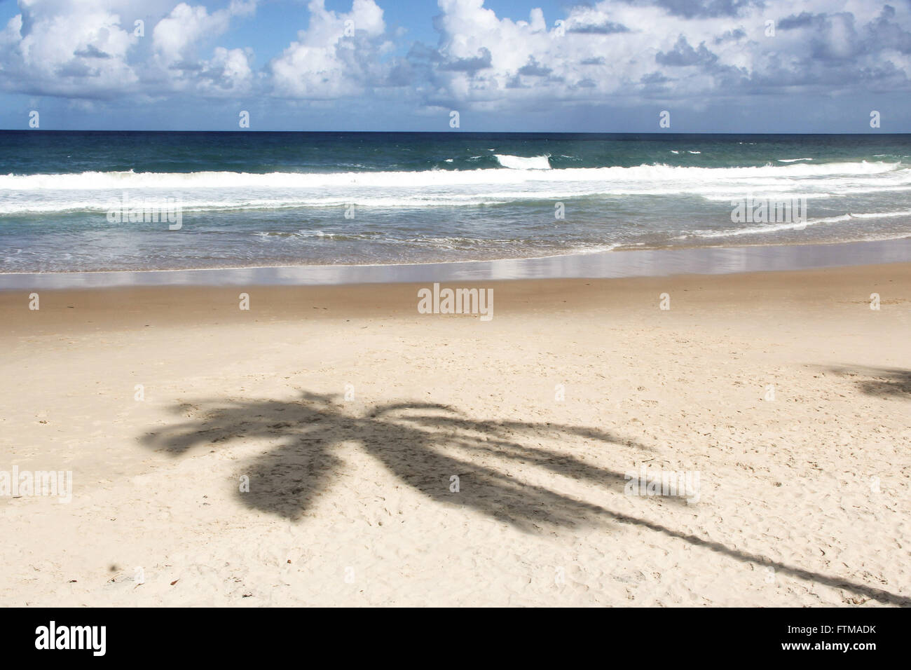 Shade of coconut tree on sea Prainha Stock Photo - Alamy