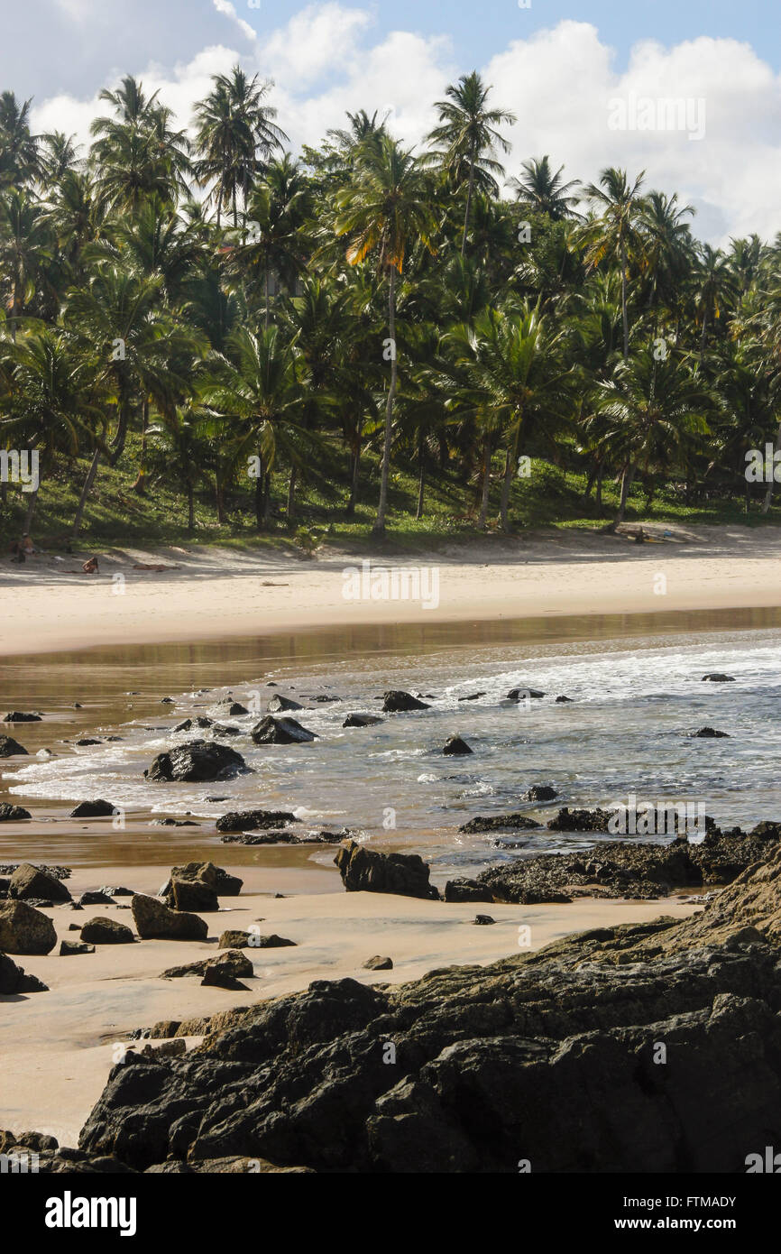 Prainha beach brazil hi-res stock photography and images - Alamy