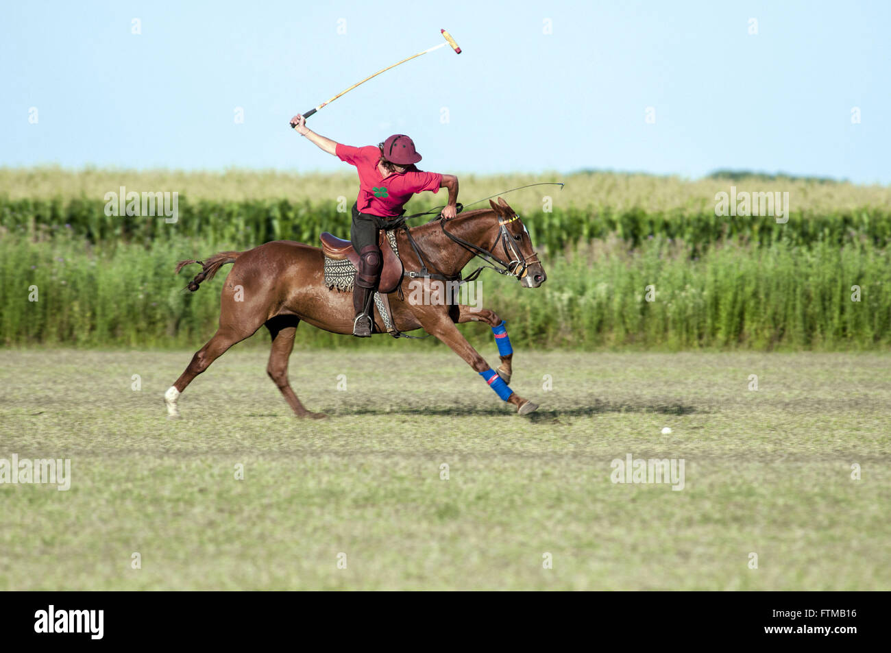 Polo argentina hi-res stock photography and images - Alamy