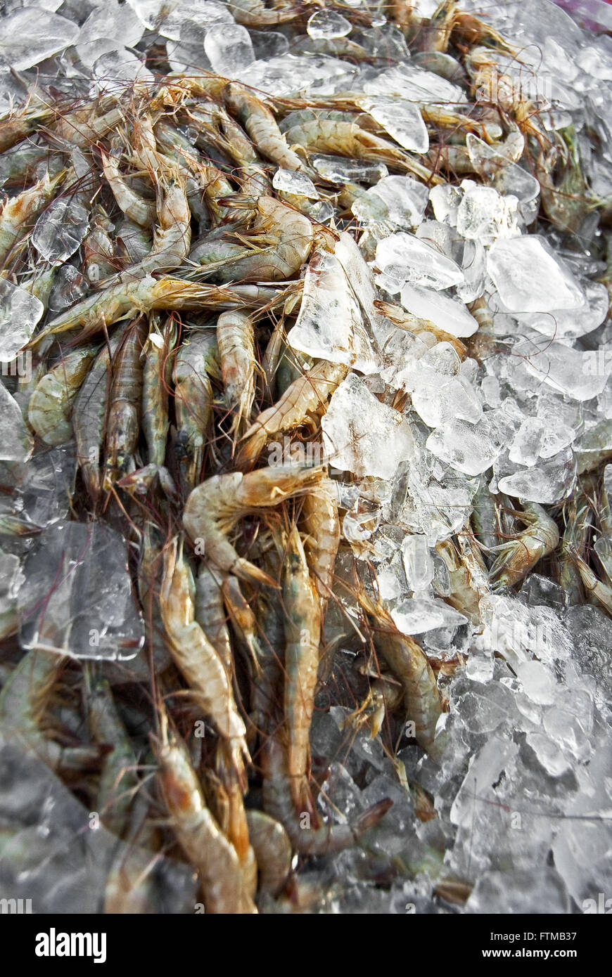 Box shrimp for sale Stock Photo - Alamy