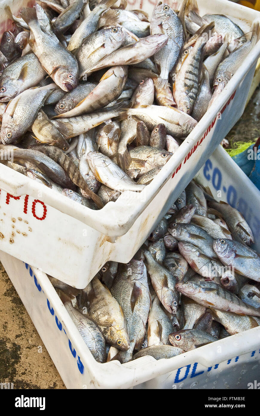 Fish Boxes Market Stock Photos & Fish Boxes Market Stock Images - Alamy