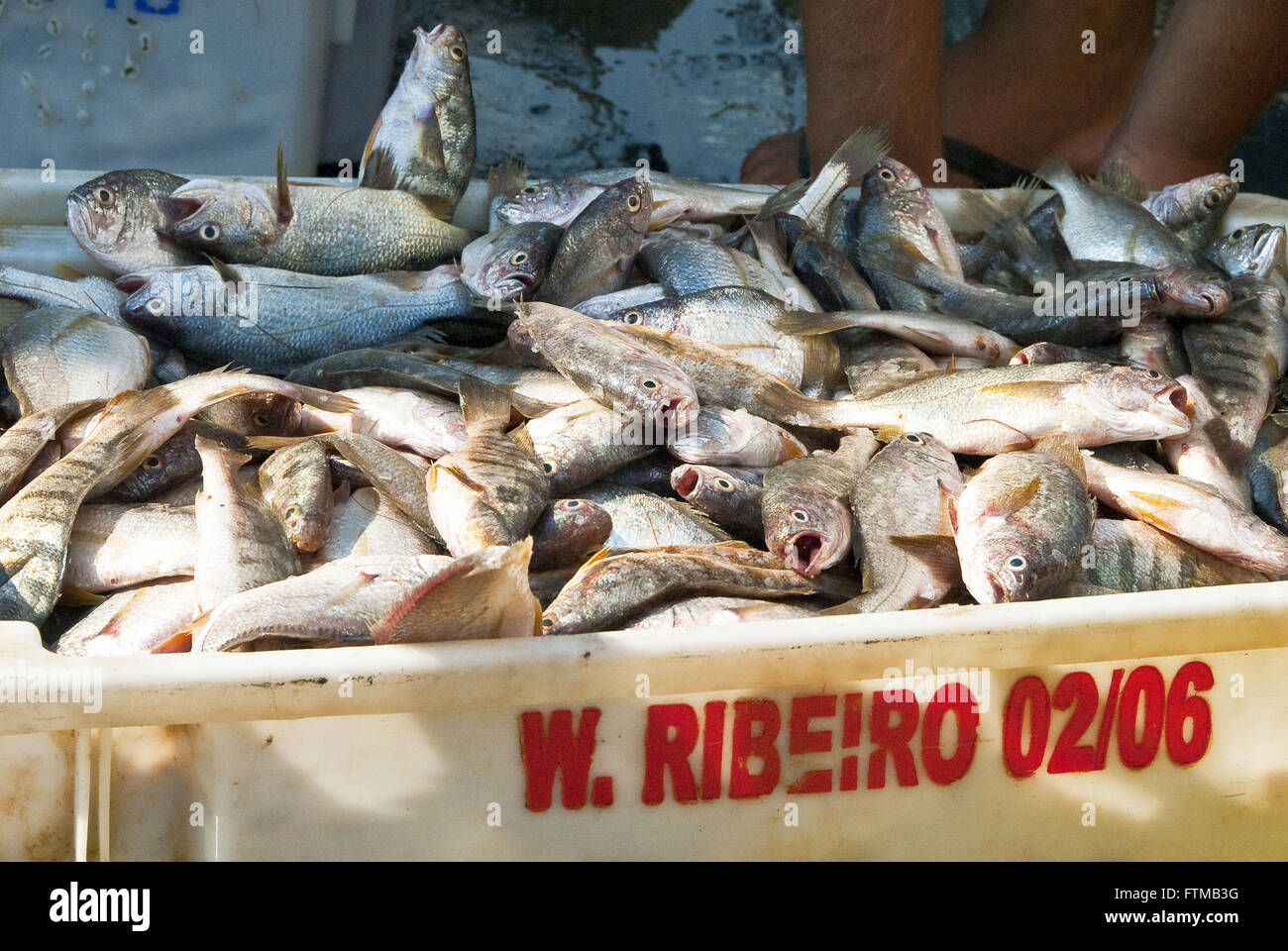 Box with fish Stock Photo - Alamy