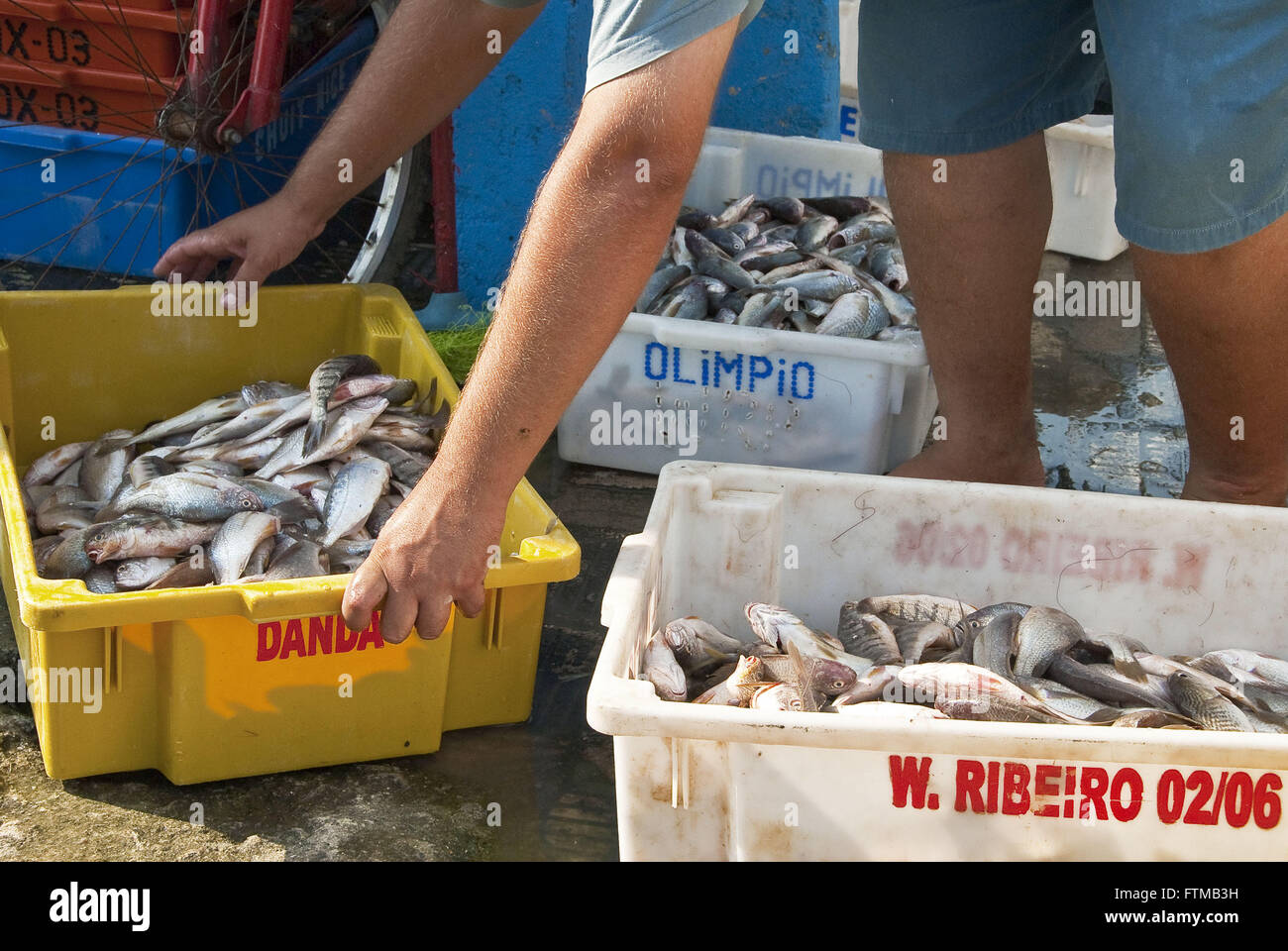 Boxes with fish Stock Photo - Alamy