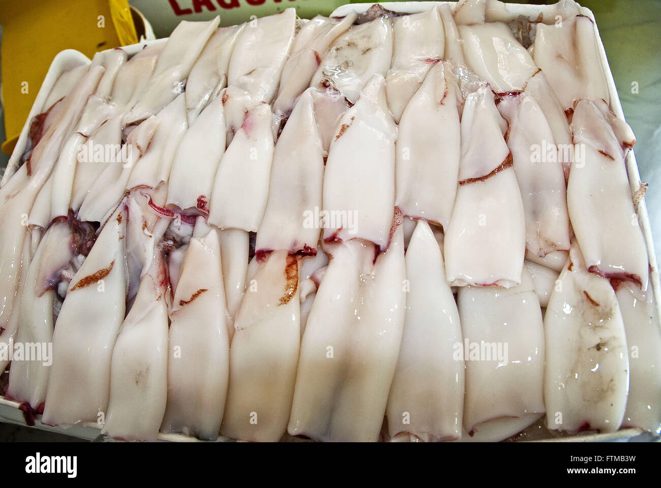 Box of squid Stock Photo - Alamy