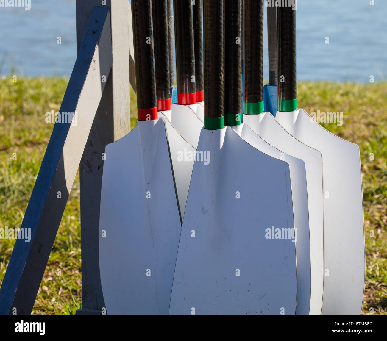 Rowing oars hung in a stand and ready for the regatta Stock Photo - Alamy