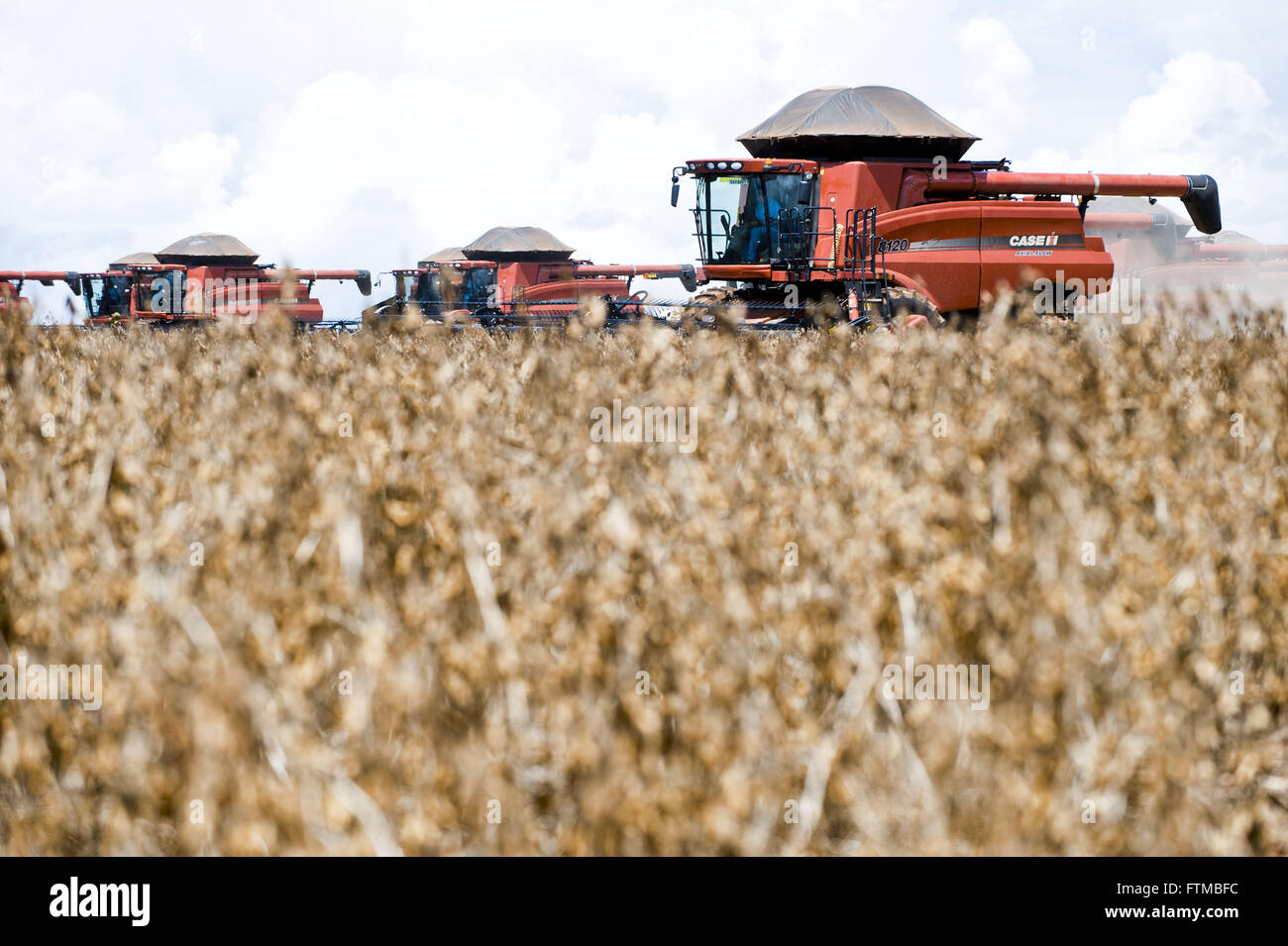 Soybean farm hi-res stock photography and images - Alamy