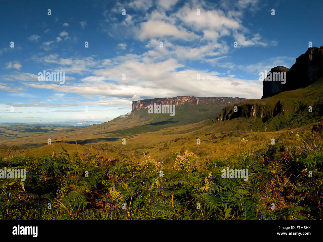 Mount Roraima National Park boundary - Brazil - Venezuela - Guyana ...