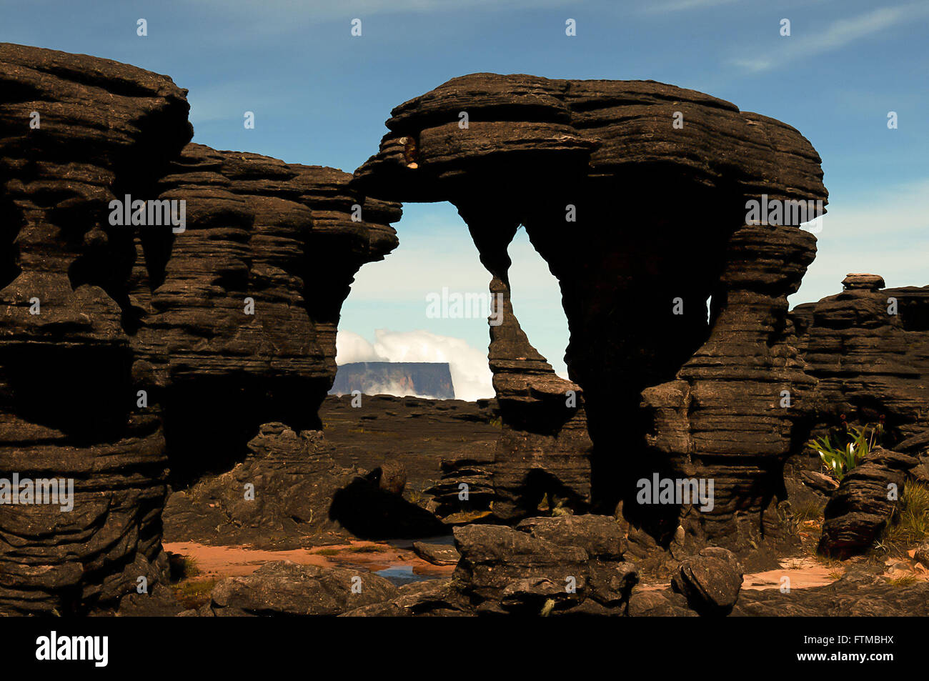 Formations sculpted by the wind on the plateau of Mount Roraima ...