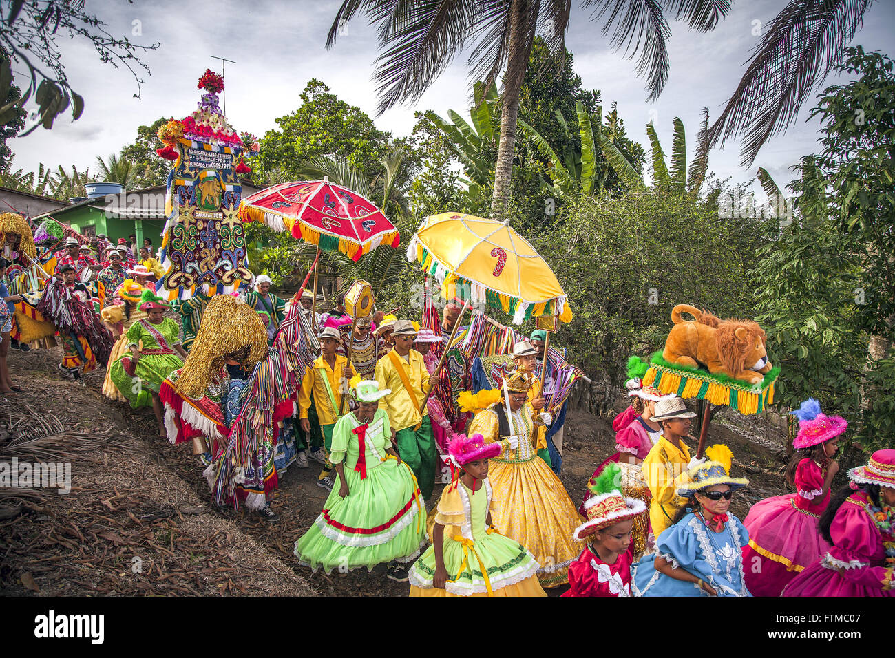 Mimoso hi-res stock photography and images - Alamy