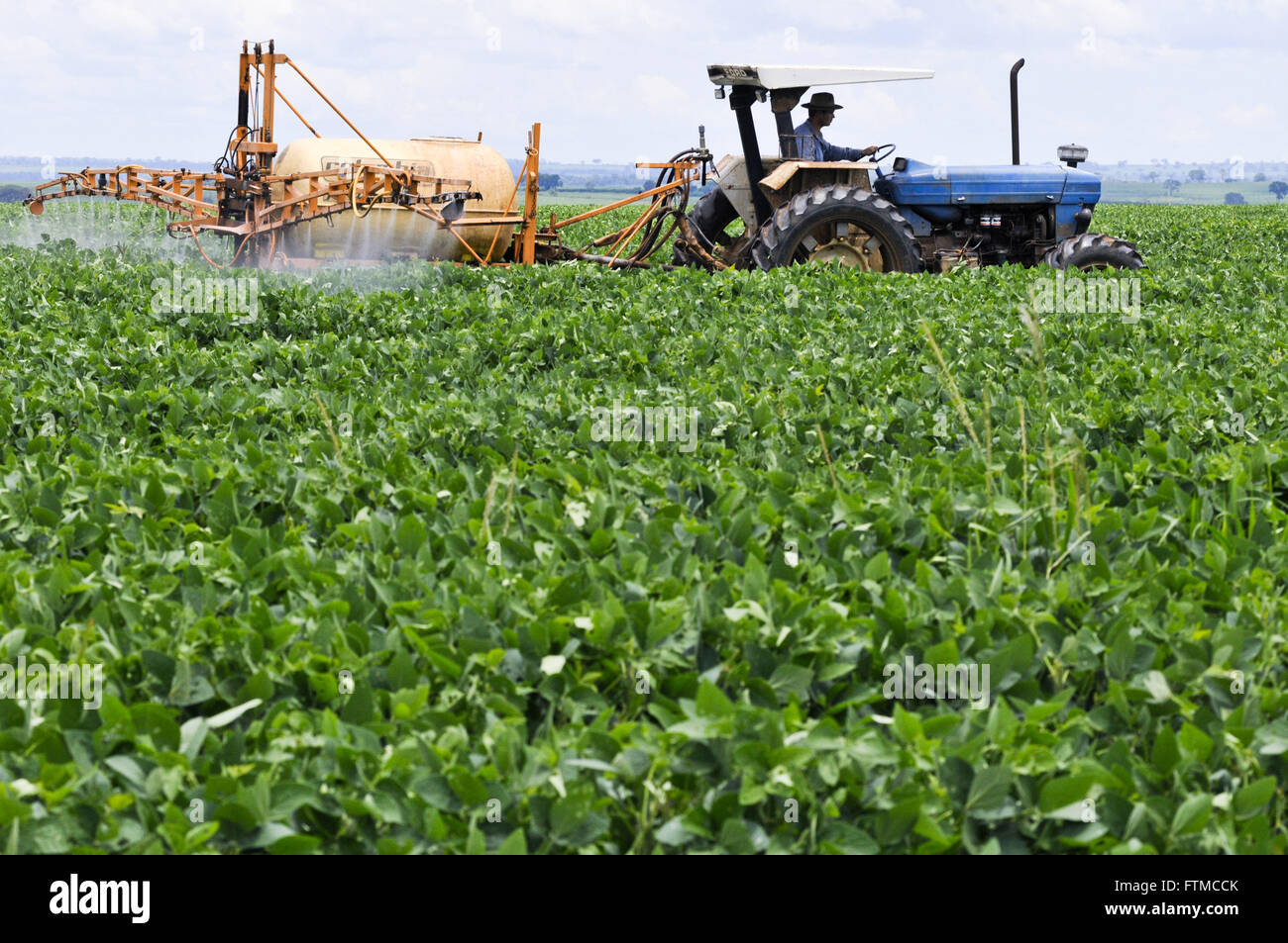 Spraying in soybean plantation in rural property Stock Photo - Alamy