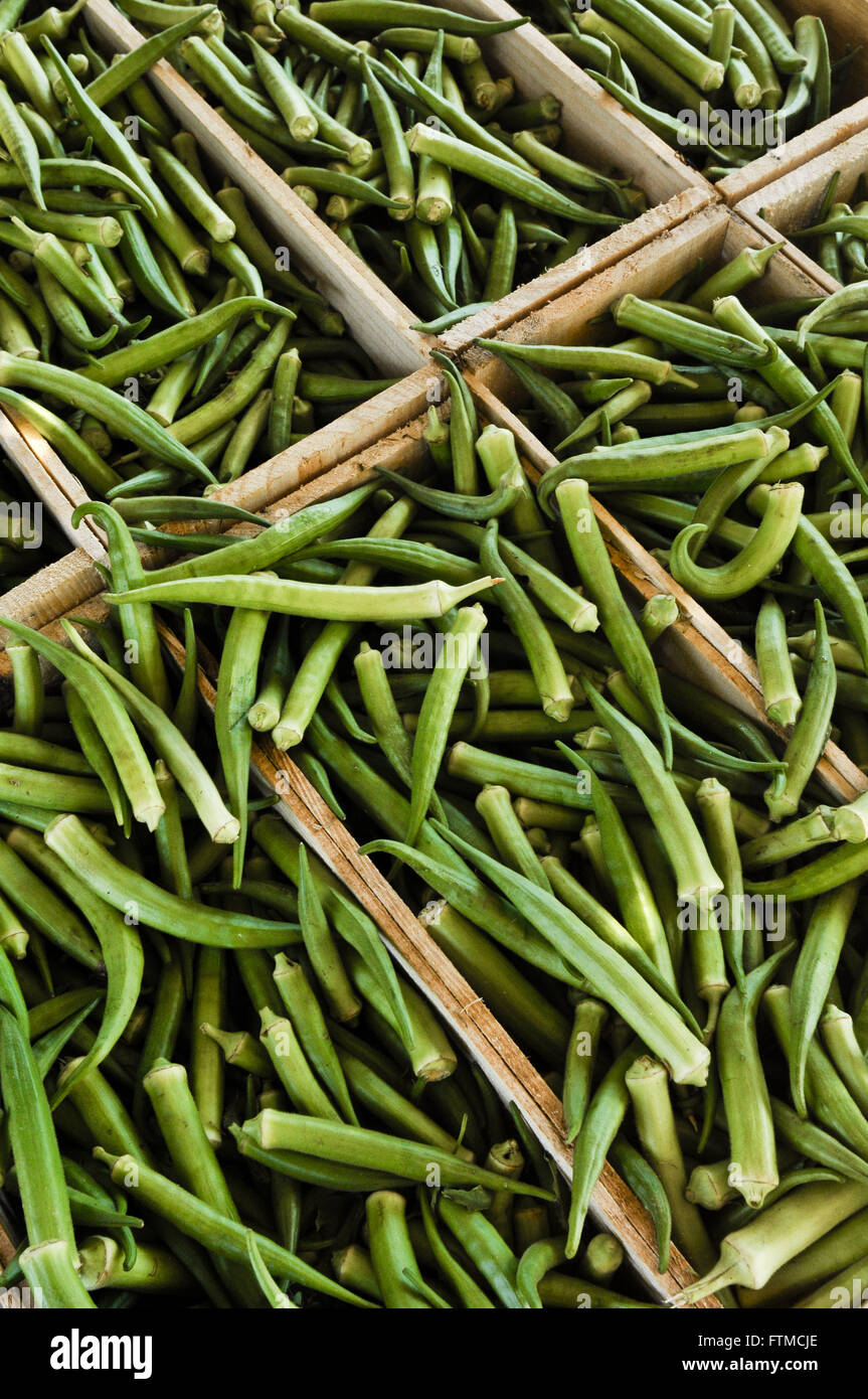 Plastic in the countryside hi-res stock photography and images - Alamy