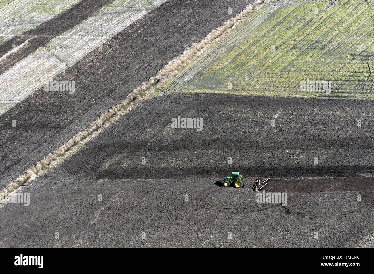 Aerial view of rice plantation Stock Photo - Alamy