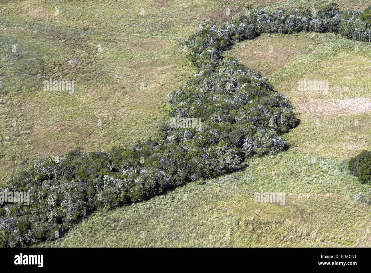 Aerial view of unspoilt countryside and capao with araucarias Stock ...