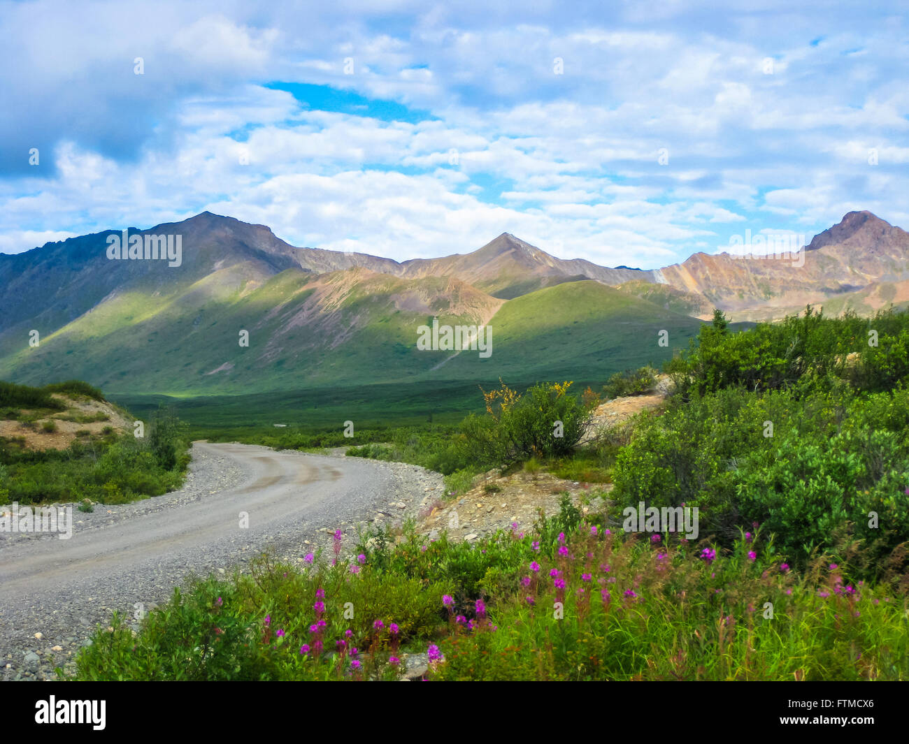 Denali transportation hi-res stock photography and images - Alamy
