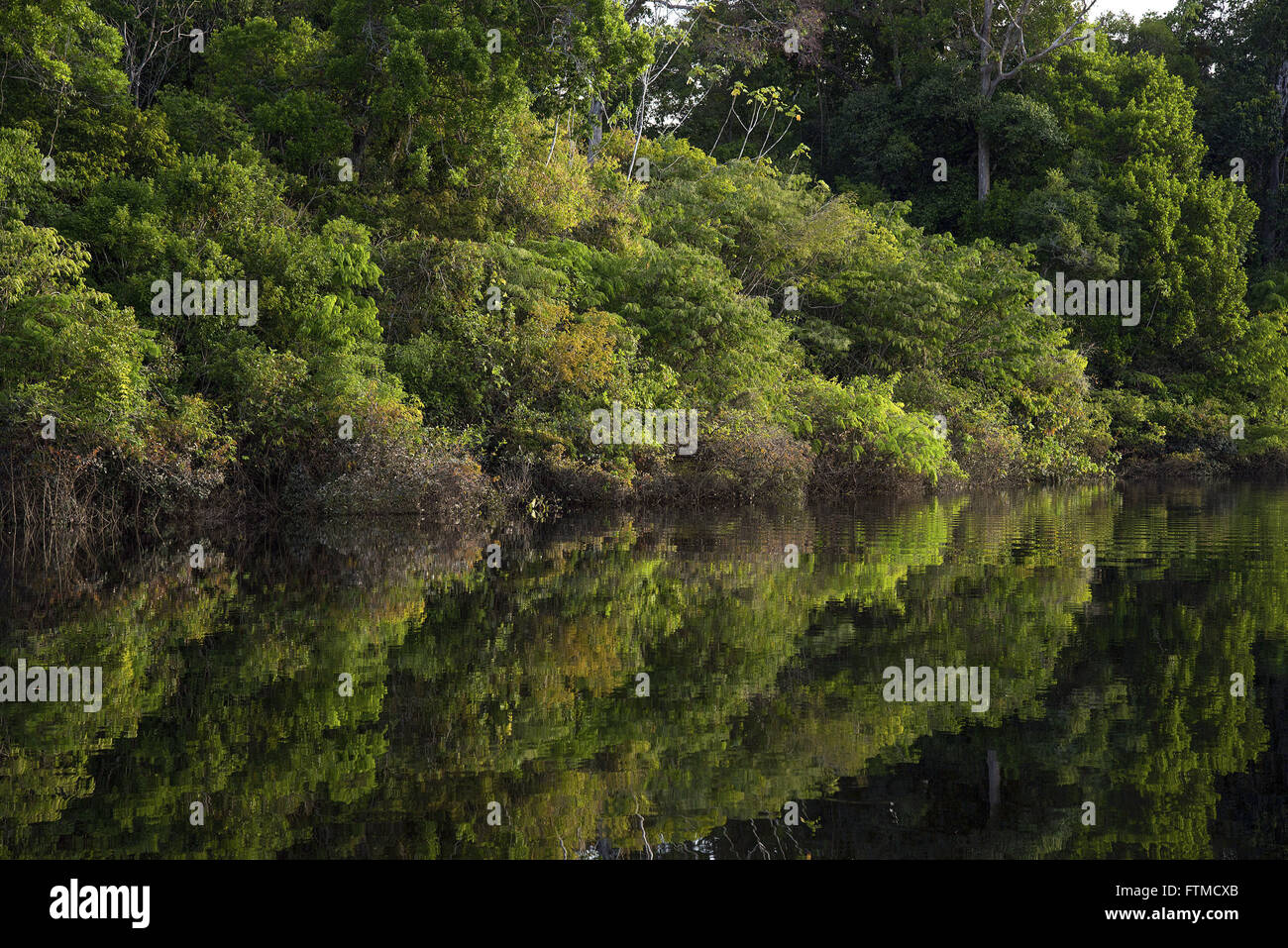 Stream in the Juruena river - the Sao Manoel de Barra region of the ...