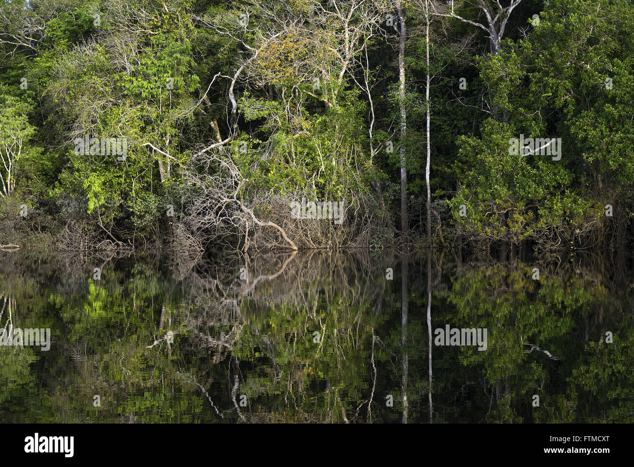 Juruena river hi-res stock photography and images - Alamy