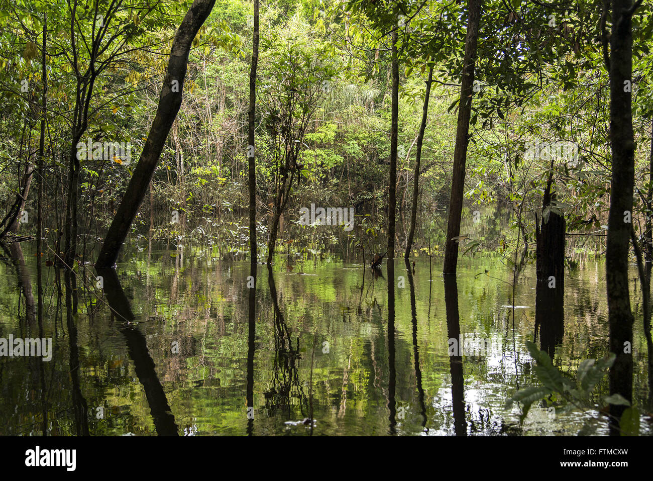 Stream of river hi-res stock photography and images - Alamy