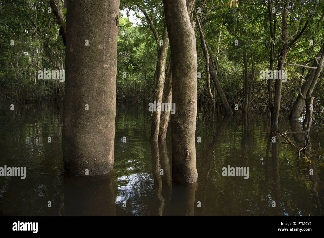 Juruena river hi-res stock photography and images - Alamy
