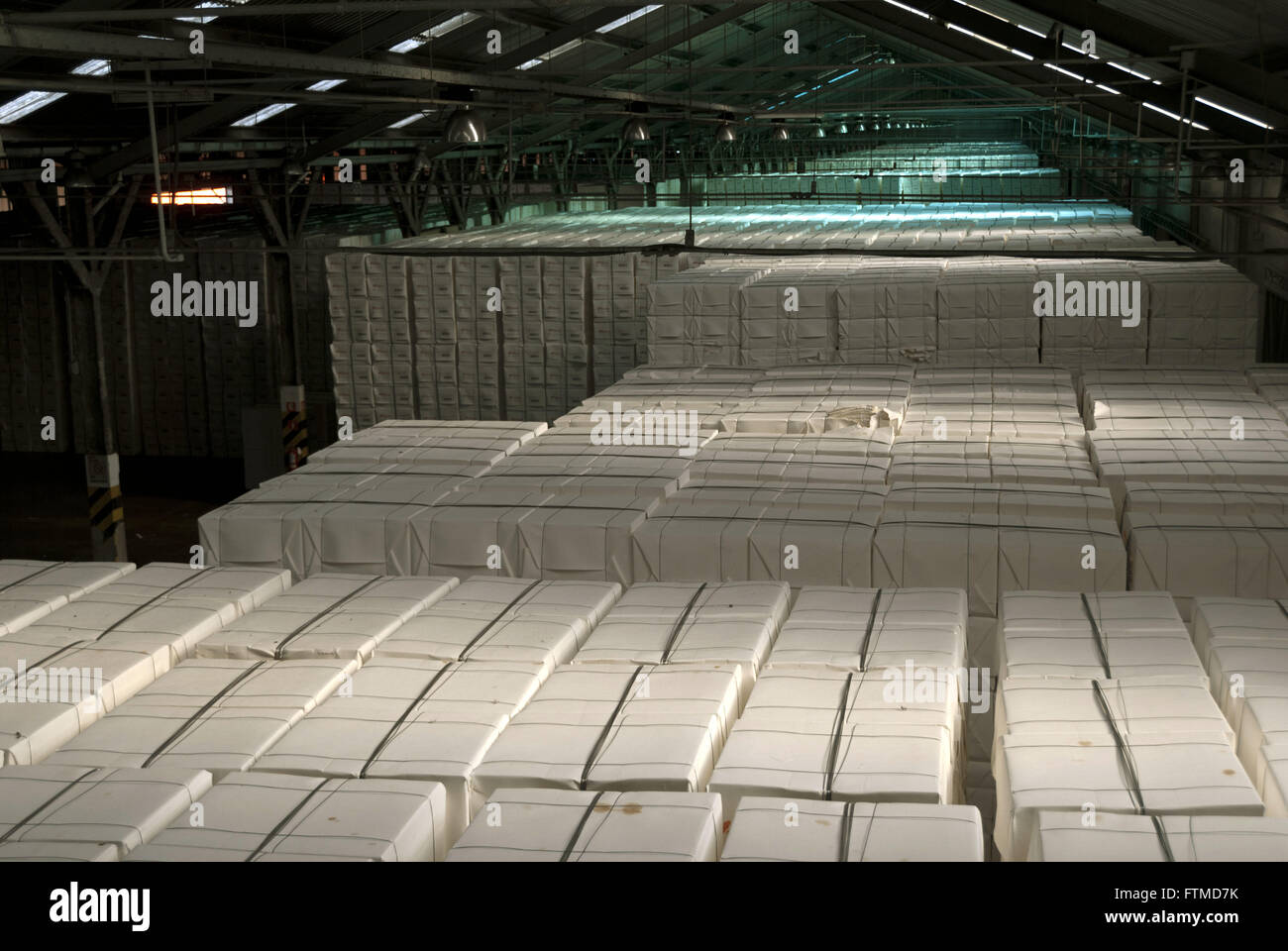 Pulp bales stored in warehouses of the Port of Santos Stock Photo - Alamy