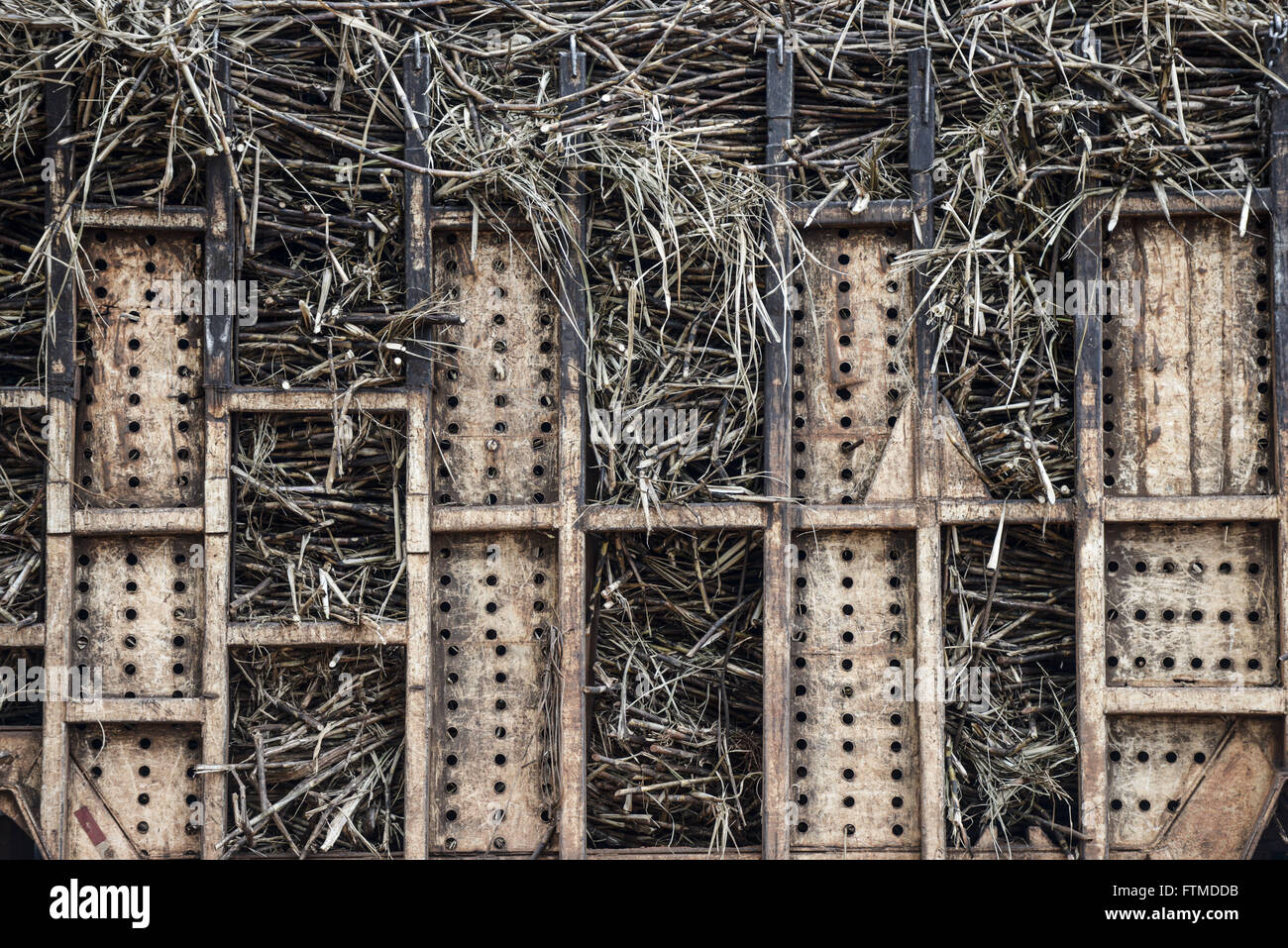 Sugar cane transport hi-res stock photography and images - Alamy