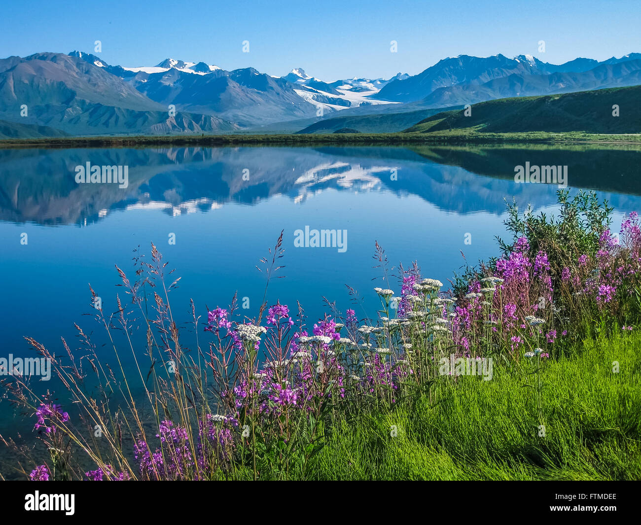 Alaska tanana valley hi-res stock photography and images - Alamy