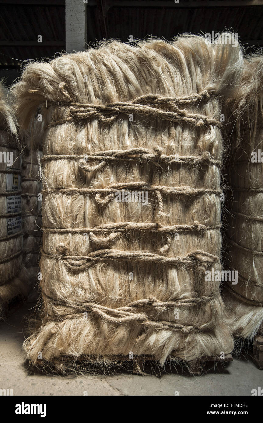 Bale of sisal yarn produced in APAEB Stock Photo - Alamy