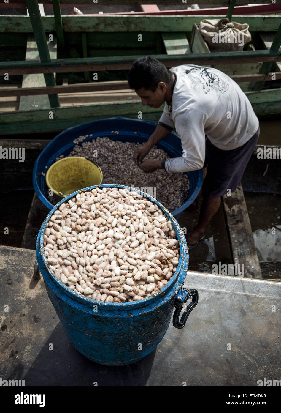 Cocoa pulp hi-res stock photography and images - Alamy