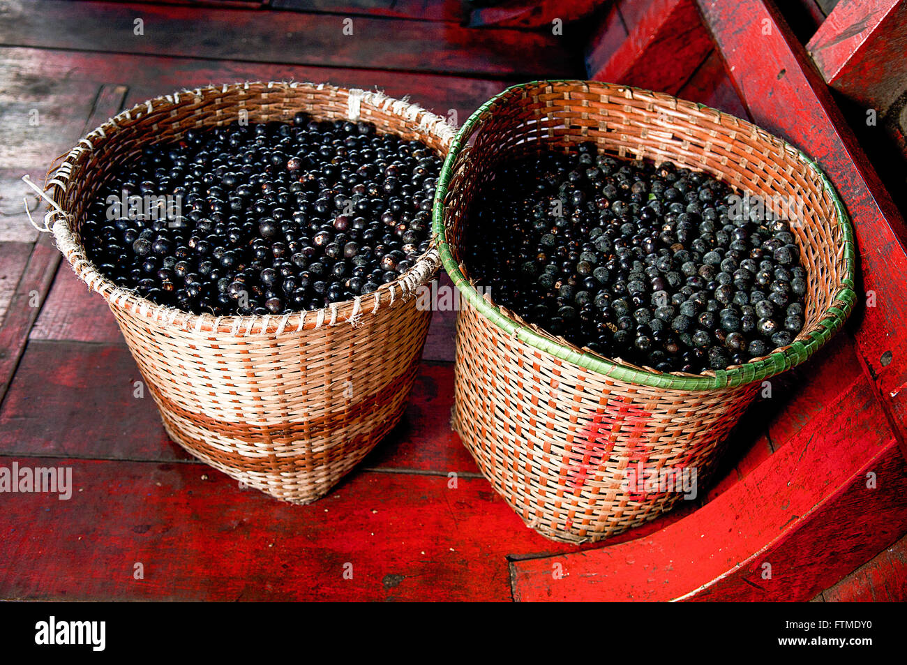 Transportation acai collected in the Amazon forest Stock Photo - Alamy