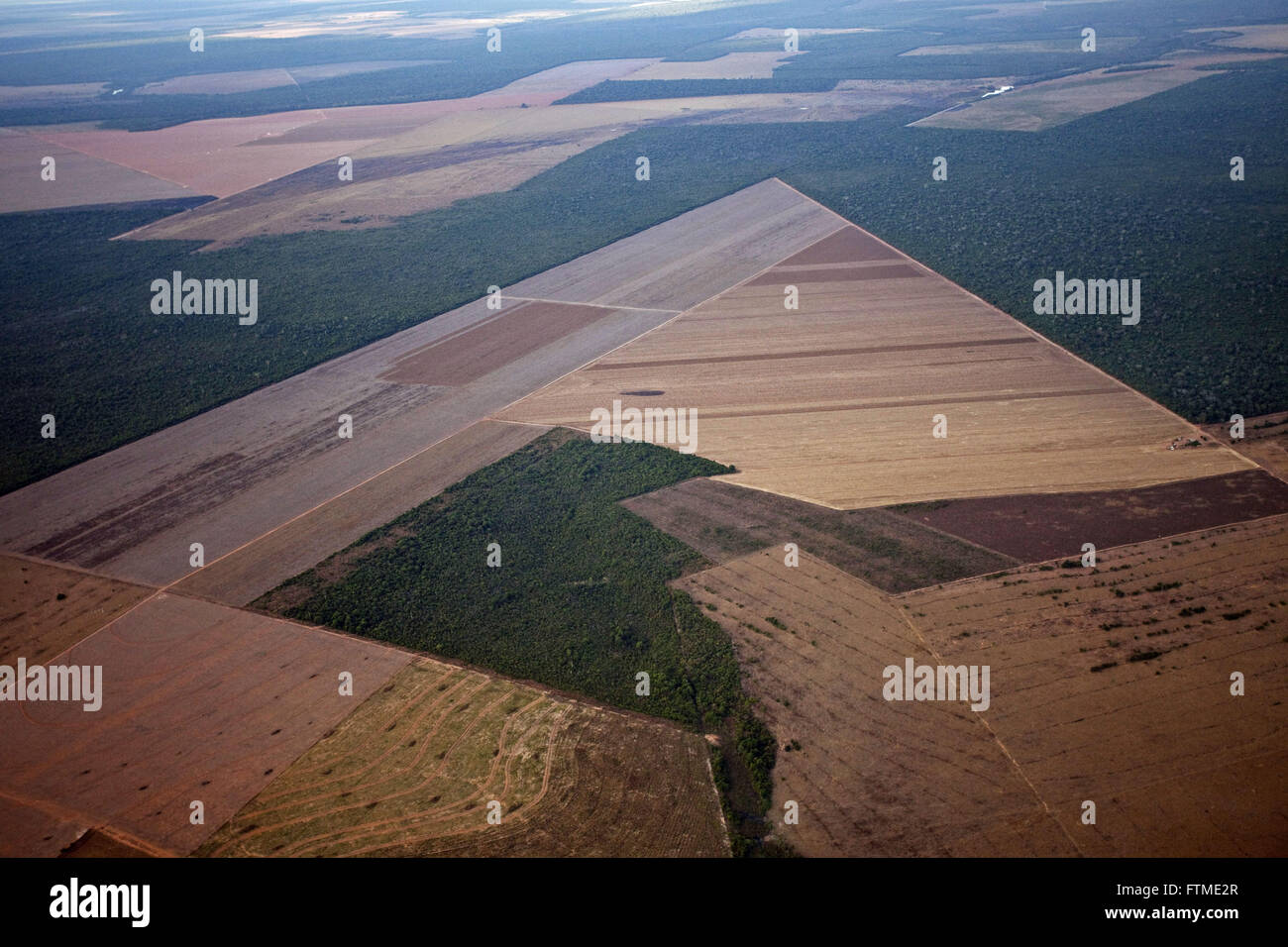 Cerrado deforestation hi-res stock photography and images - Alamy