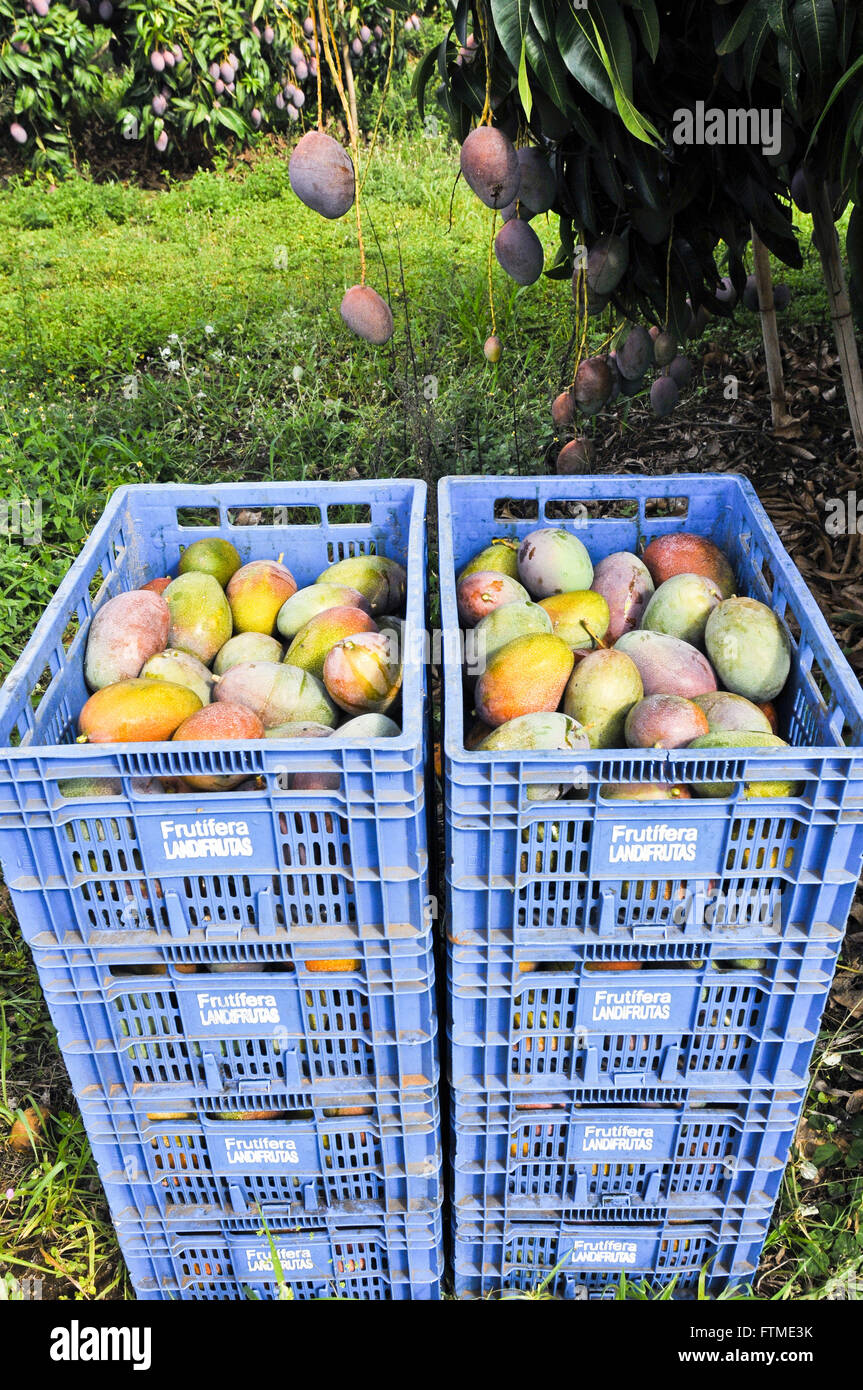 Box with sleeves next to the orchard in the countryside Stock Photo - Alamy