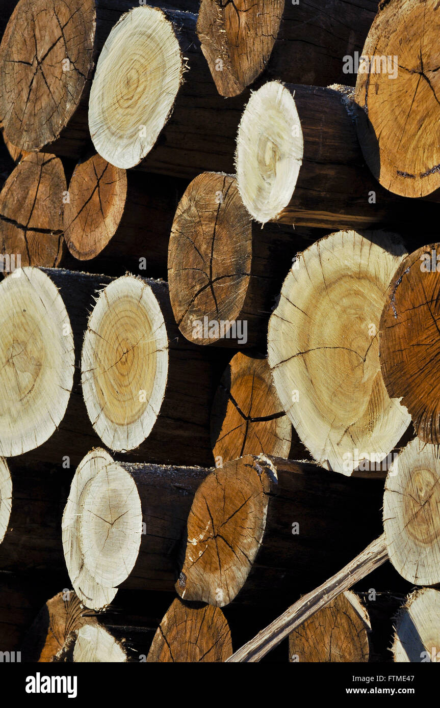 Citrodoro hi-res stock photography and images - Alamy