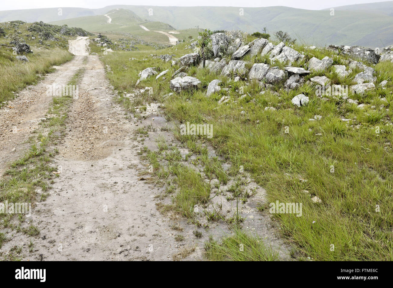Road through the savanna land in the Valley of the flowerbeds in Serra ...