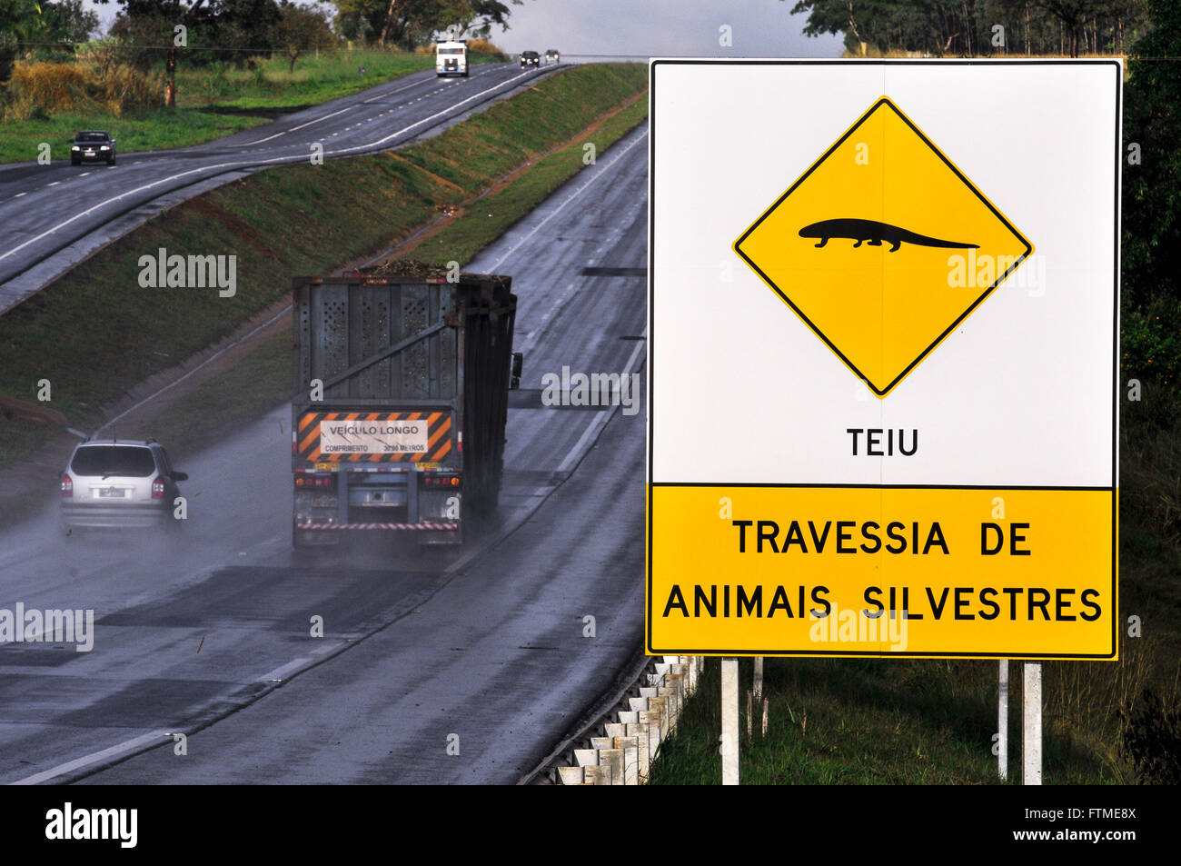 Lizard Crossing Sign High Resolution Stock Photography and Images - Alamy