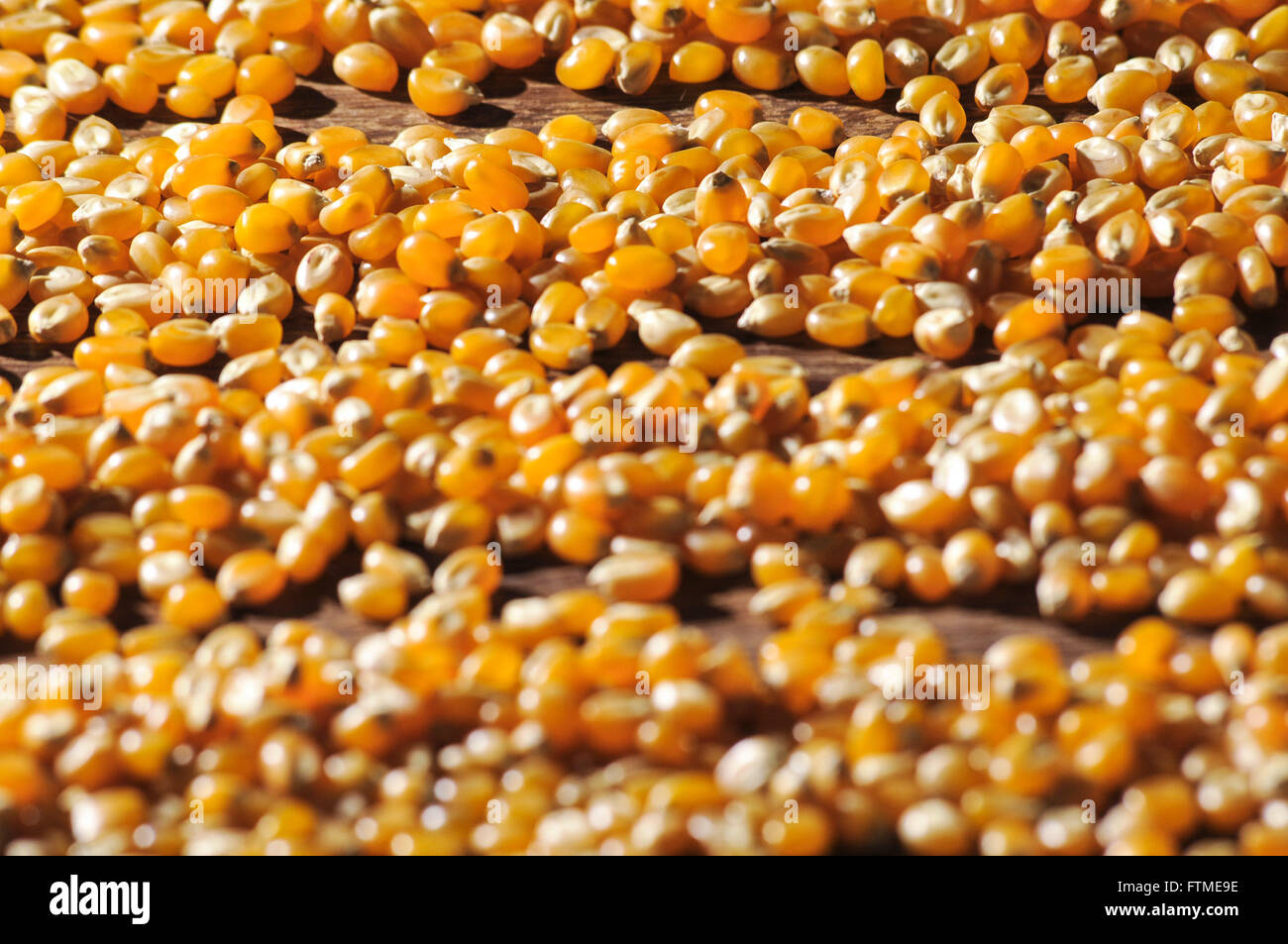 Detail of popcorn Stock Photo - Alamy