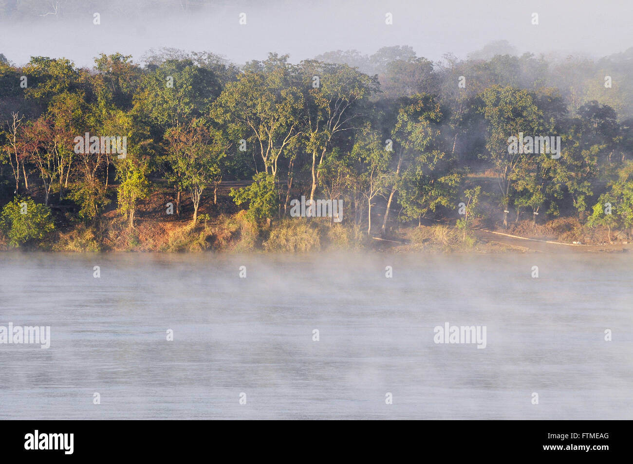 Natural border hi-res stock photography and images - Alamy