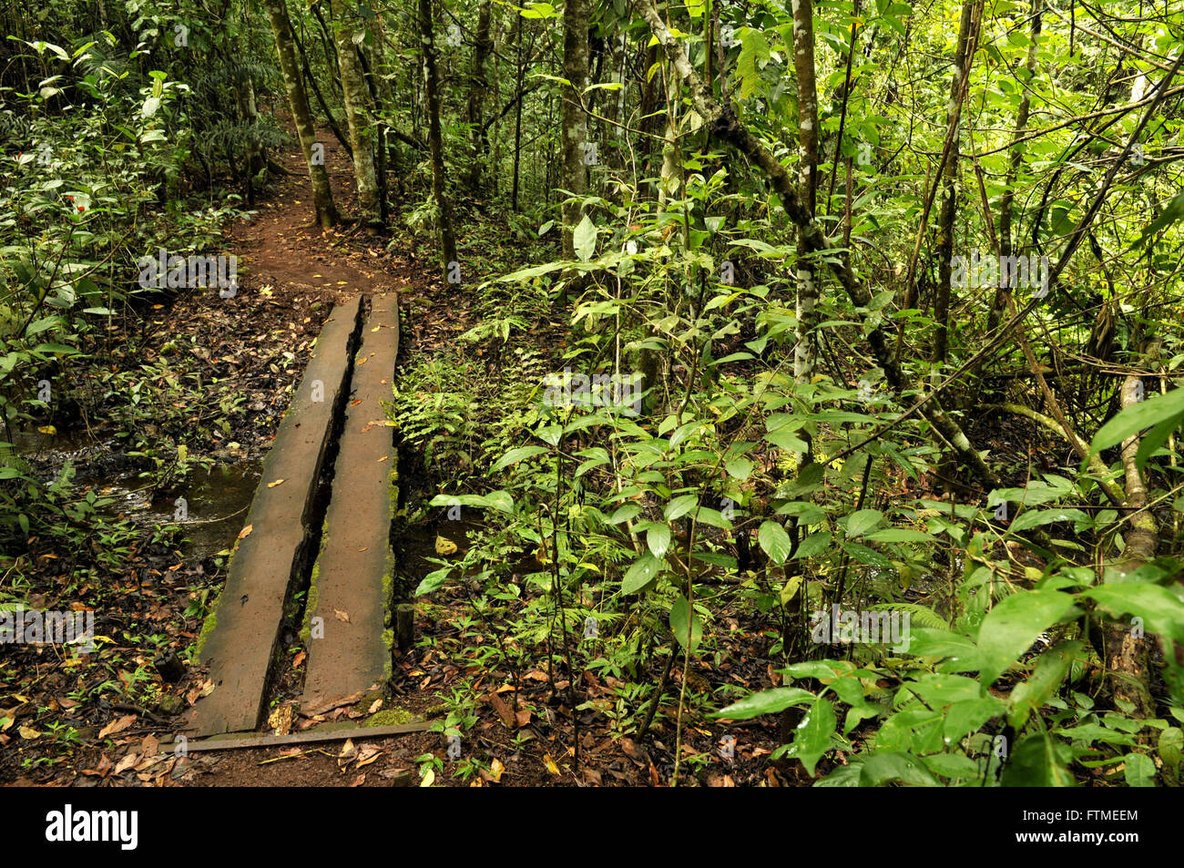 Footbridge on the trail of Agouti in Municipal Natural Park jumping ...