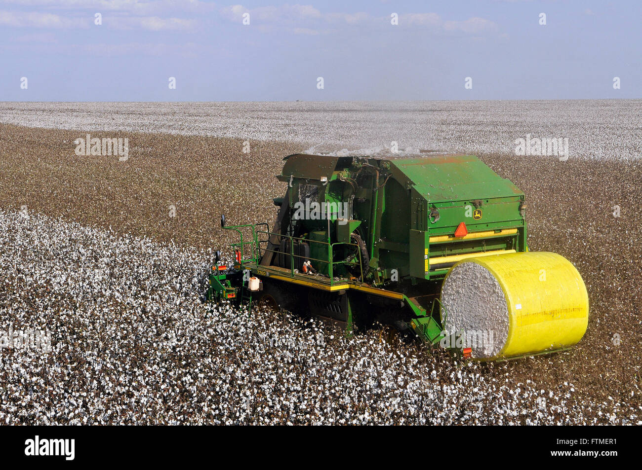 Planting of cotton and combine advanced technology Stock Photo - Alamy