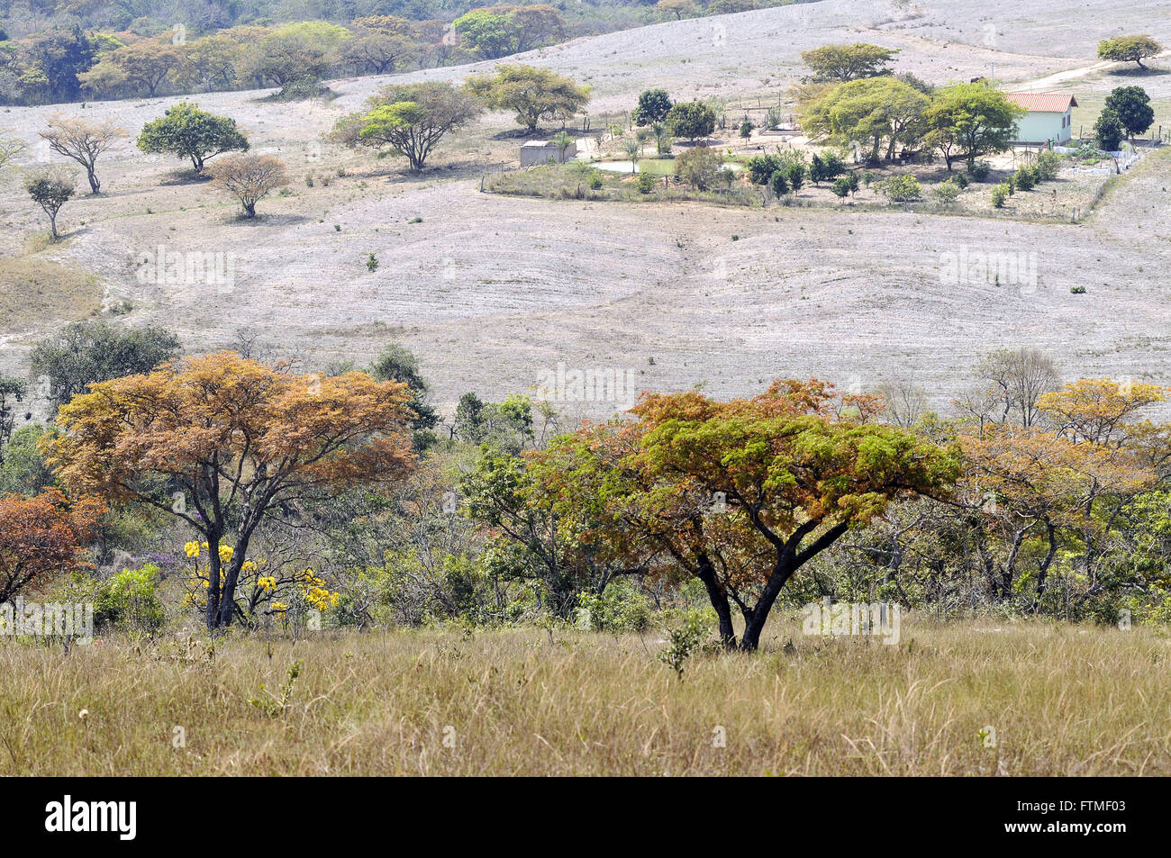 Long drought hi-res stock photography and images - Alamy